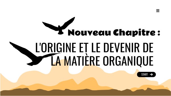 Chapitre 3 : L'origine et le devenir de la matière organique