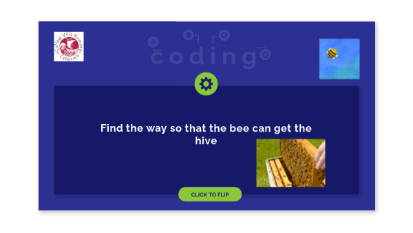 Coding a Bee