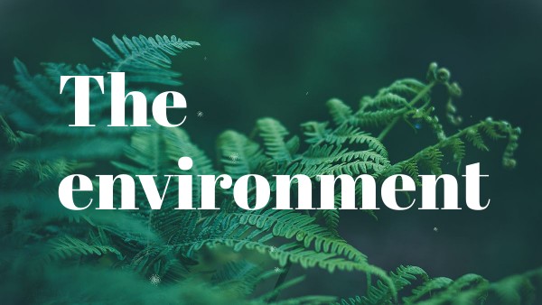 the environment