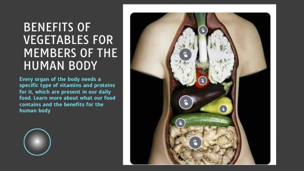 vegetables that help internal organs