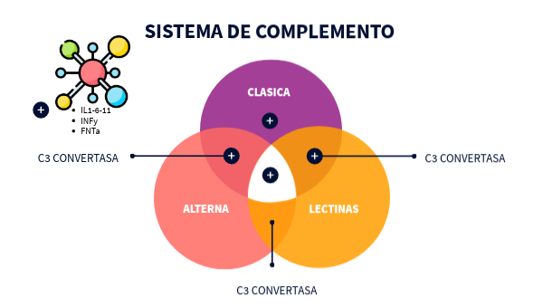 SISTEMA DE COMPLEMENTO