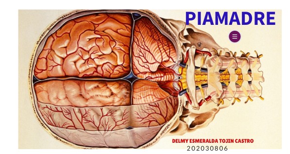PIAMADRE_DELMYTOJINCASTRO202030806
