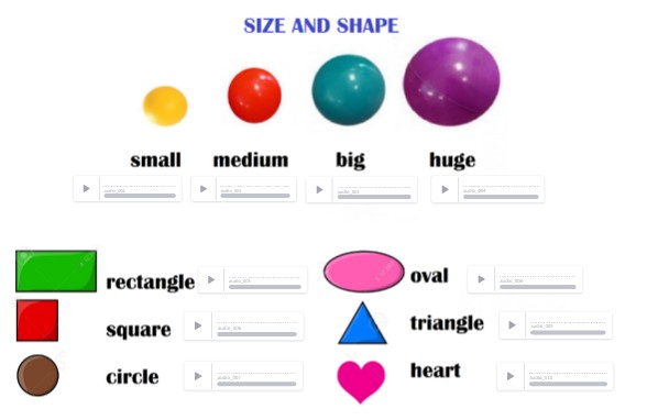 Size and Shape