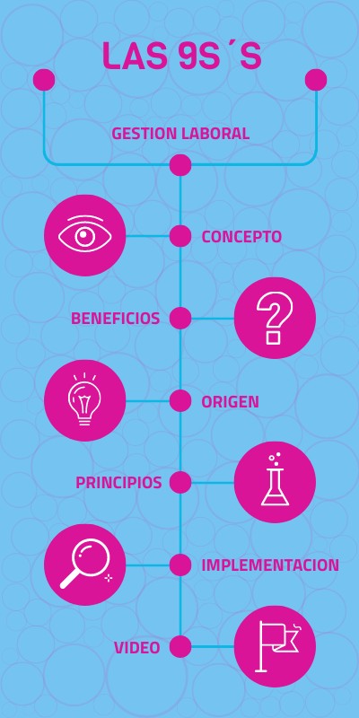 Las 9 S´s
