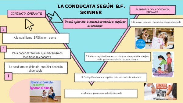conducta de skinner