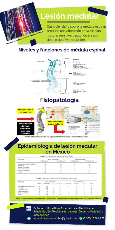 LESIÓN MEDULAR