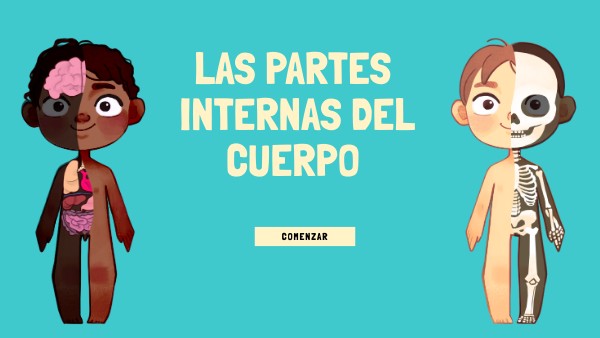 PARTES INTERNAS DEL CUERPO