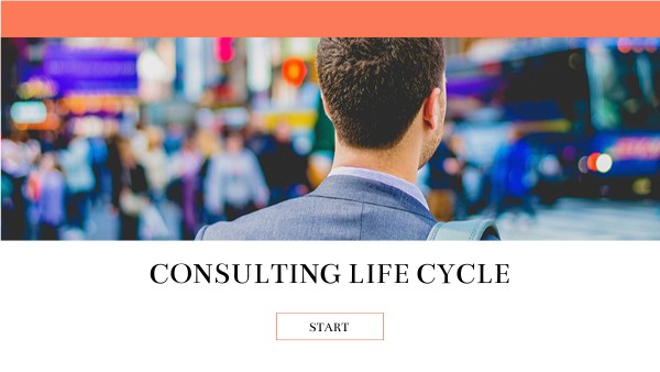 CONSULTING LIFE CYCLE