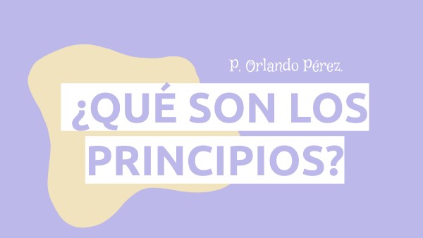 QUÉ SON LOS PRINCIPIOS