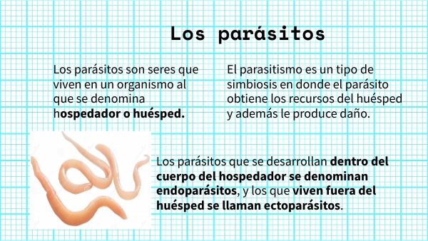 PARASITOS