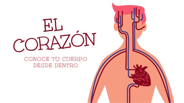 El corazón