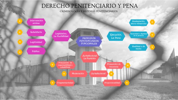 PRINCPIOS PENITENCIARIOS FUNCIONALES