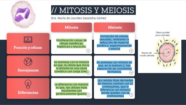CUADRO COMPARATIVO: MEIOSIS Y MITOSIS