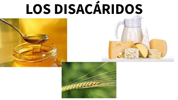 DISACÁRIDOS
