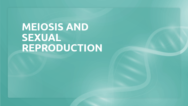 HUMAN REPRODUCTION AND MEIOSIS By ADRIANA PATRICIA RODRIGUEZ CEVALLOS human-reproduction-and-meiosis-by-adriana-patricia-rodriguez-cevallos