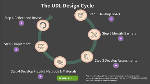 UDL Design Cycle