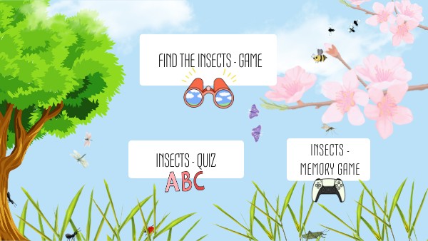 INSECTS GAMES