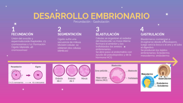 BIOLOGY TIMELINE HORIZONTAL