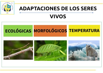 ADAPTACIONES_SERES_VIVOS