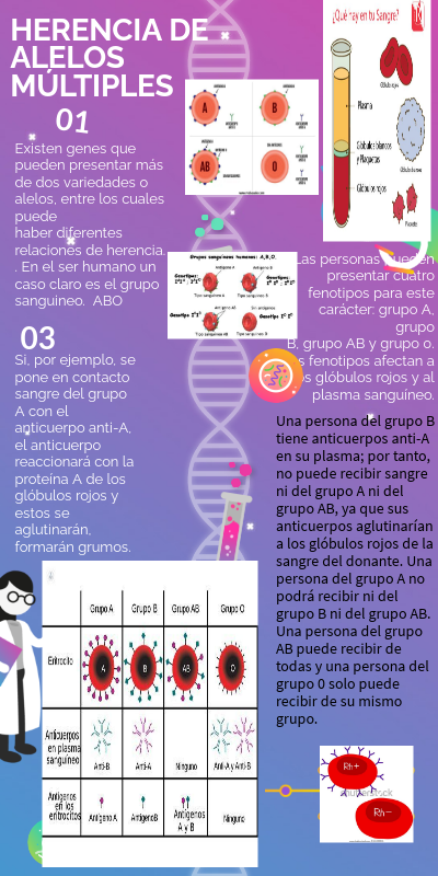 HERENCIA DE ALELOS MULTIPLES