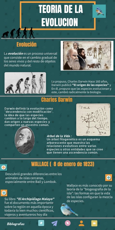 Teoría de la Evolución
