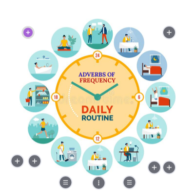Daily Routines and Adverbs of Frequency