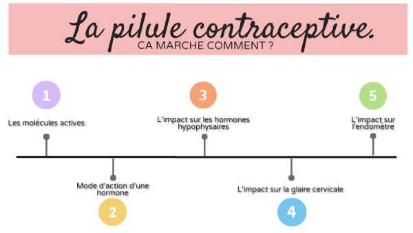 Fonctionnement pilule contraceptive