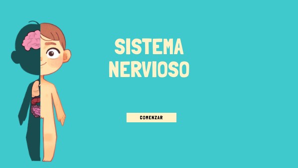 Sistema Nervioso