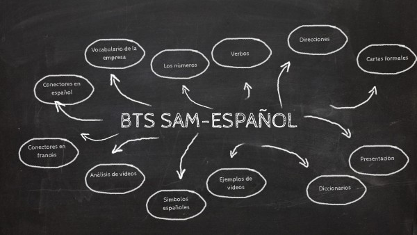 BTS SAM - ESPAGNOL