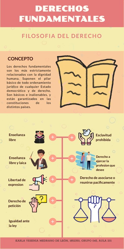 INFO DERECHOS FUNDAMENTALES