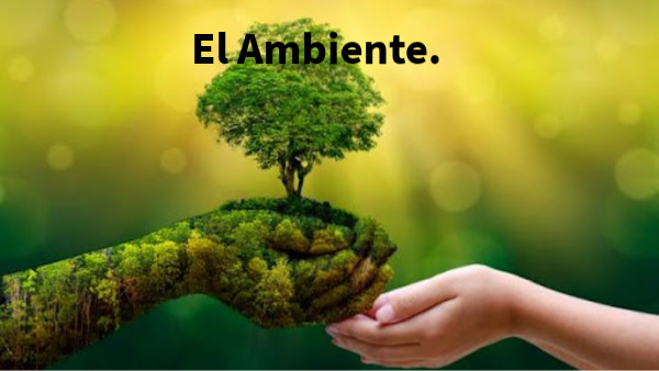 Que Es Un Ambiente