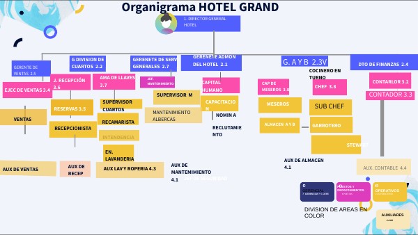 ORGANIGRAMA