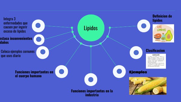 MAPA MENTAL De Lipidos