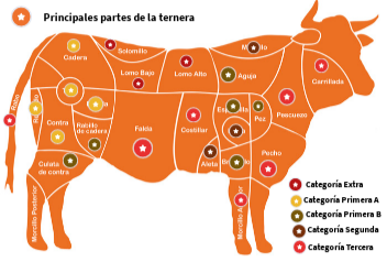 Principales partes de la ternera