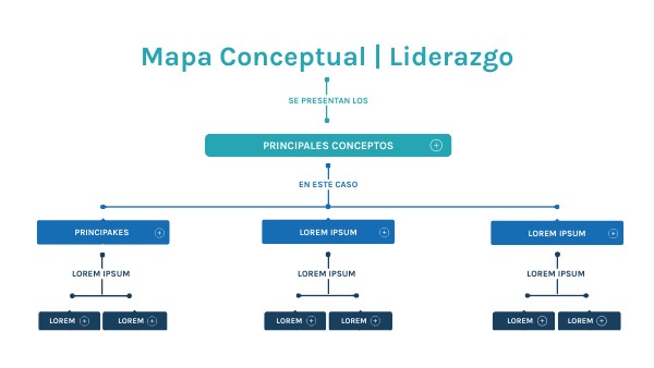 MAPA CONCEPTUAL CAJAS