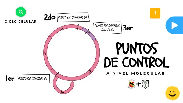 PUNTOS DE CONTROL by Kayris Díaz
