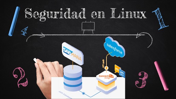 seguridad en Linux