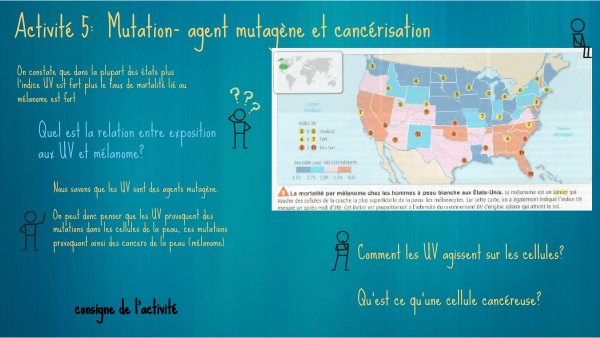 Cancérogène Et Mutagène – Produits cancérogènes mutagènes et ...