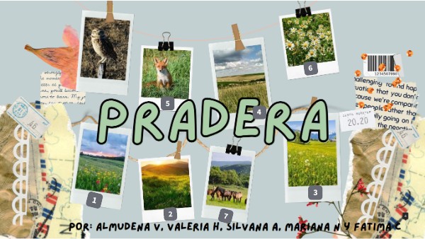 Pradera
