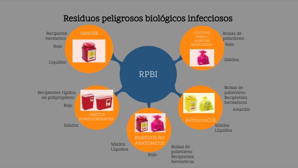 MAPA CONCEPTUAL R.P.B.I