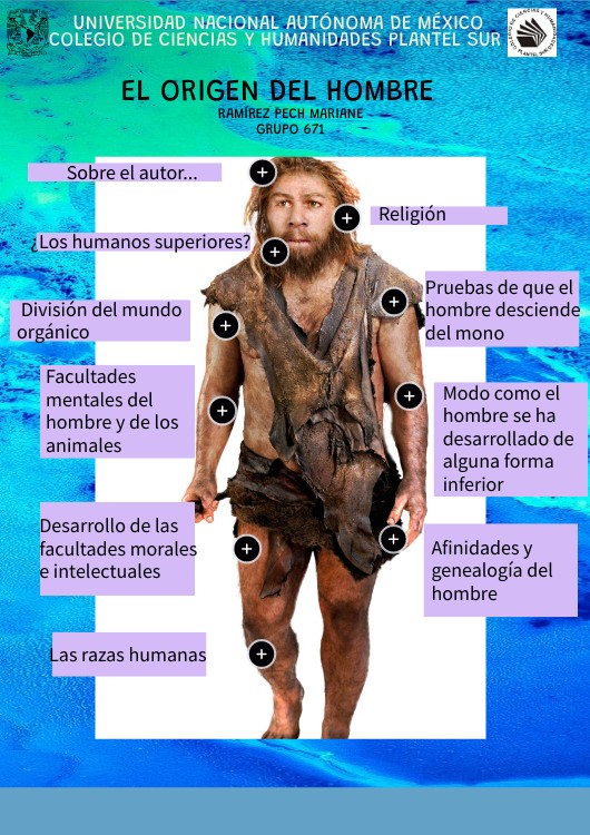 El origen del hombre