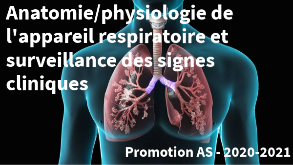 Appareil respiratoire-Version cours