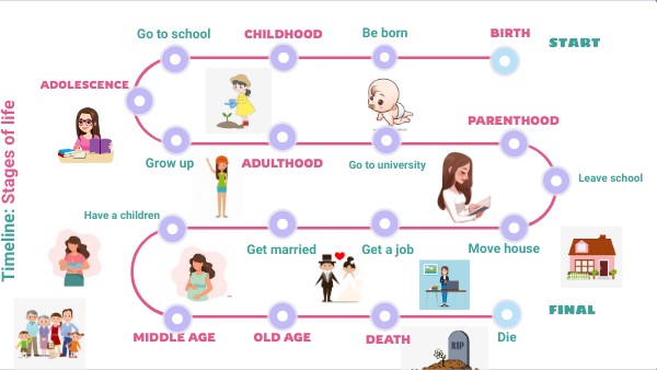 Timeline: stages of life