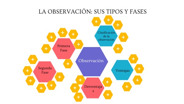 La observación: sus tipos y fases