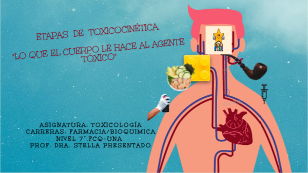 ETAPAS DE TOXICOCINETICA