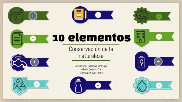 10 ELEMENTOS