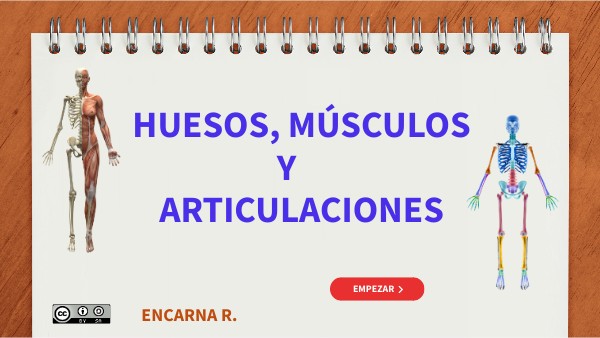 MÚSCULOS, HUESOS Y ARTICULACIONES