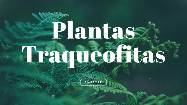 PRESENTACIÓN PLANTAS TRAQUEOFITAS