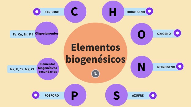 ELEMENTOS BIOGENESICOS