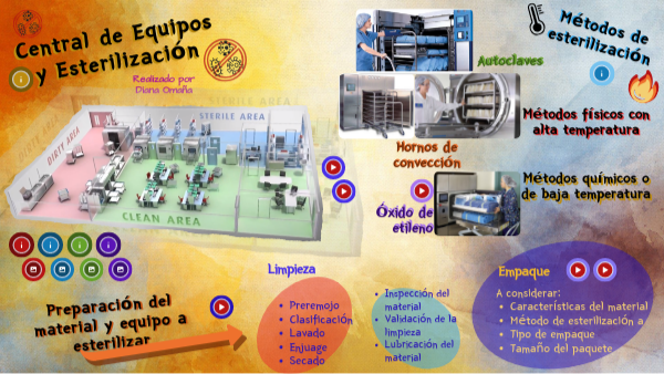 Diana Omaña - CEyE y el proceso de esterilización by DMOV on Genially